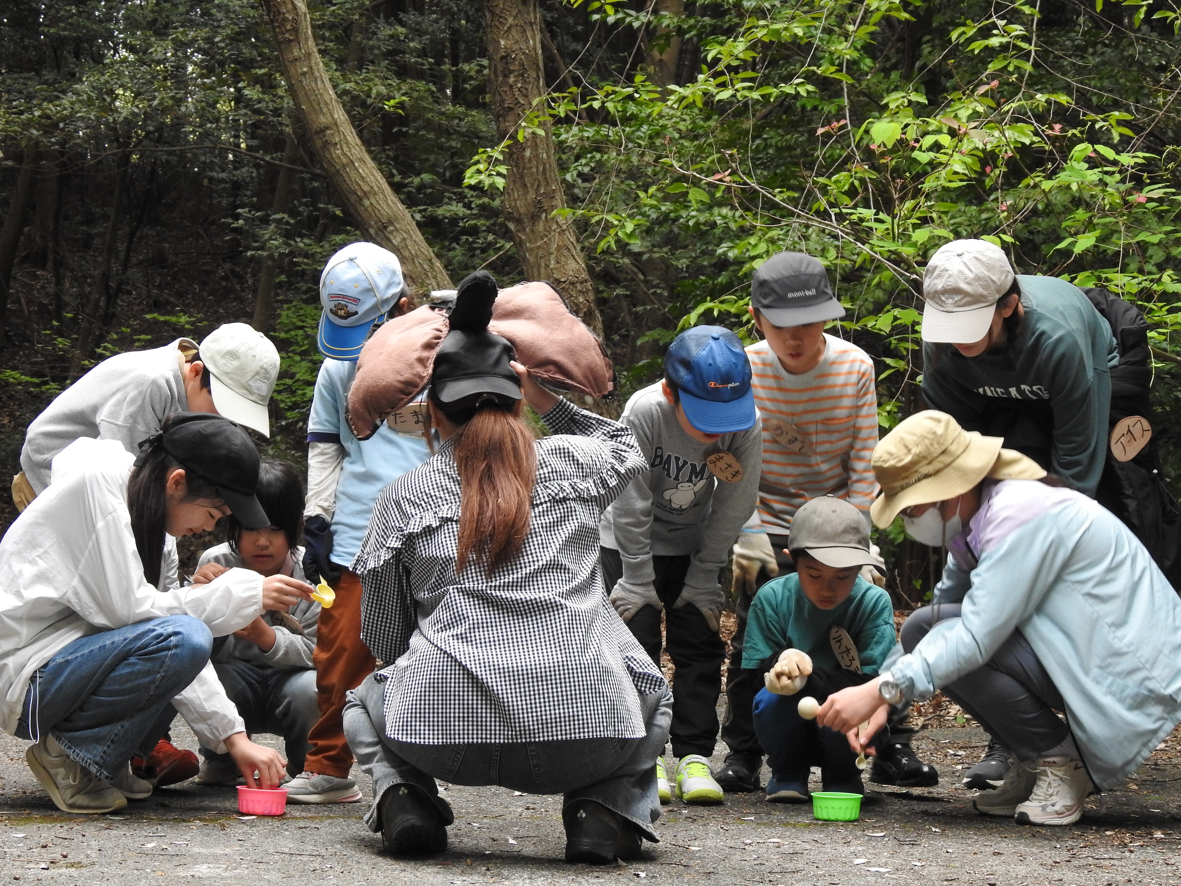 エコパ自然塾2025 1回目 ～自然塾のはじまり、はじまり～ エコパ公式サイト（小笠山総合運動公園ECOPA）